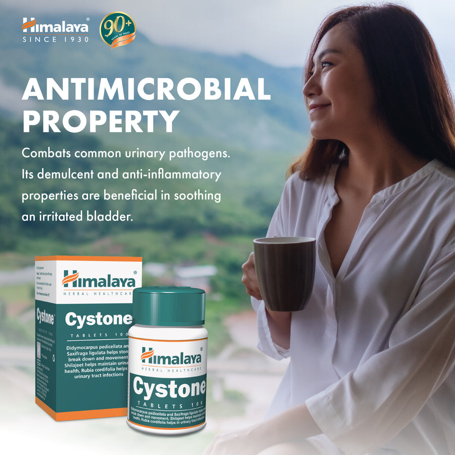 Himalaya Cystone - 100 Tablets – Himalaya Wellness (Europe)