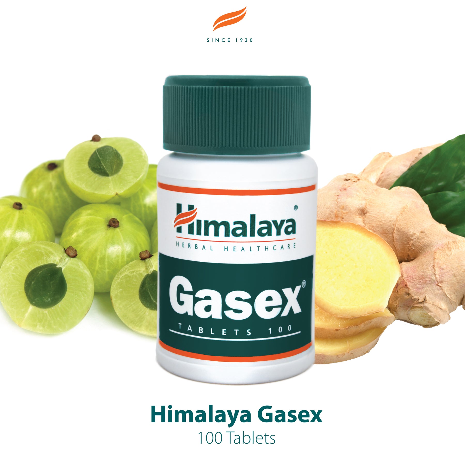Himalaya Gasex - 100 Tablets – Himalaya Wellness (Europe)