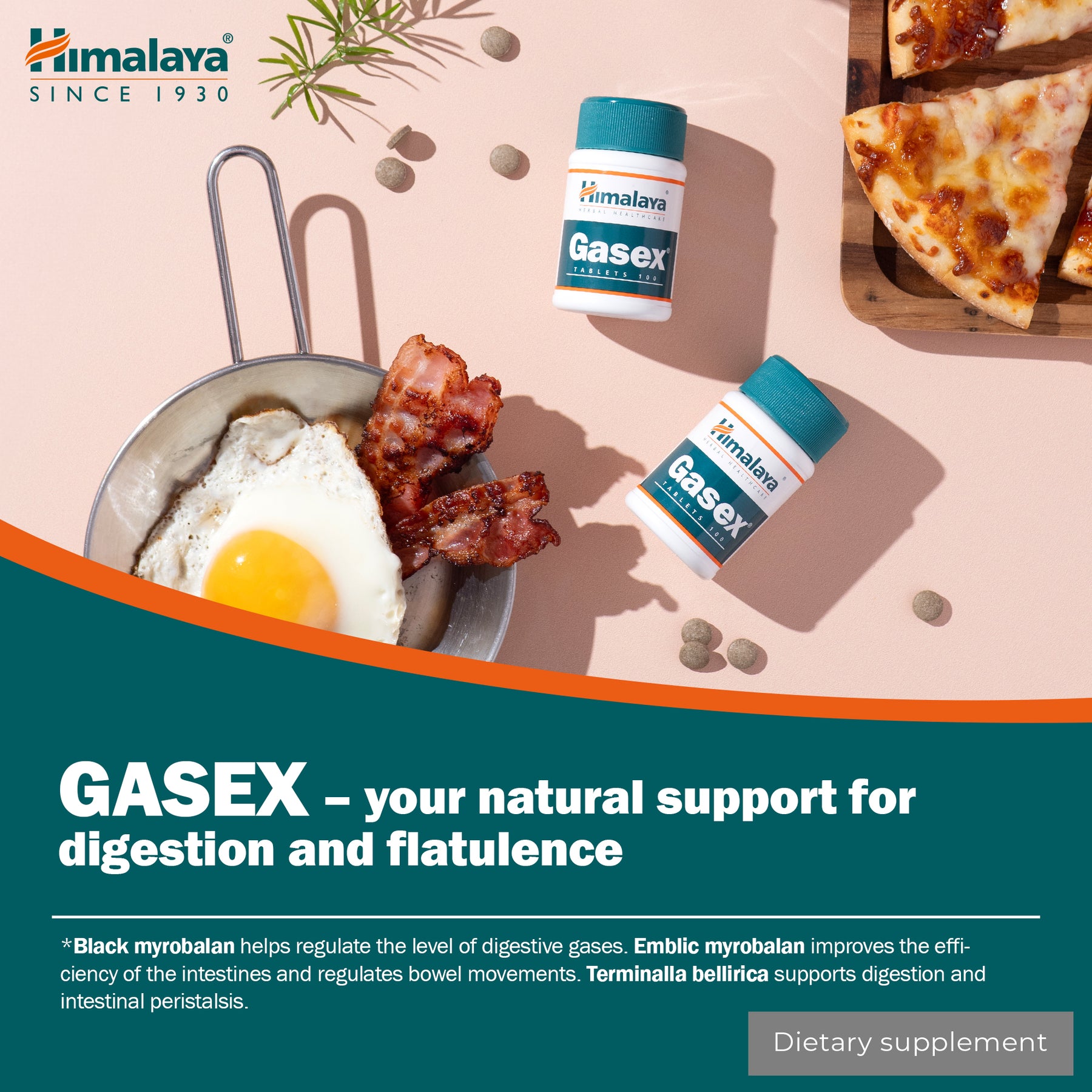 Himalaya Gasex - 100 Tablets – Himalaya Wellness (Europe)